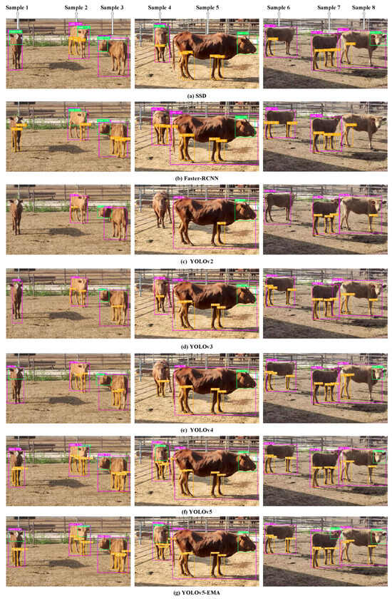 Cattle Body Detection Based on YOLOv5-EMA for Precision Livestock Farming