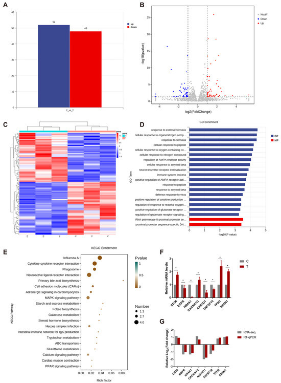 Mild Intermittent Cold Stimulation Affects Cardiac Substance Metabolism ...