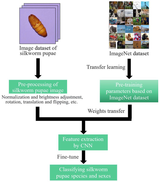 Integrated Analysis of Machine Learning and Deep Learning in Silkworm ...