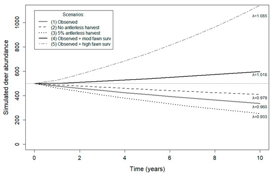 Population Dynamics of a Declining White-Tailed Deer Population in the ...