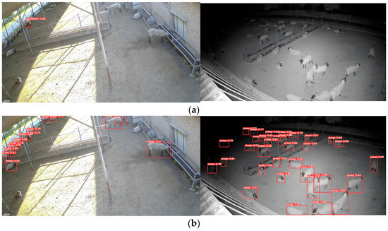 An Image Detection Model for Aggressive Behavior of Group Sheep