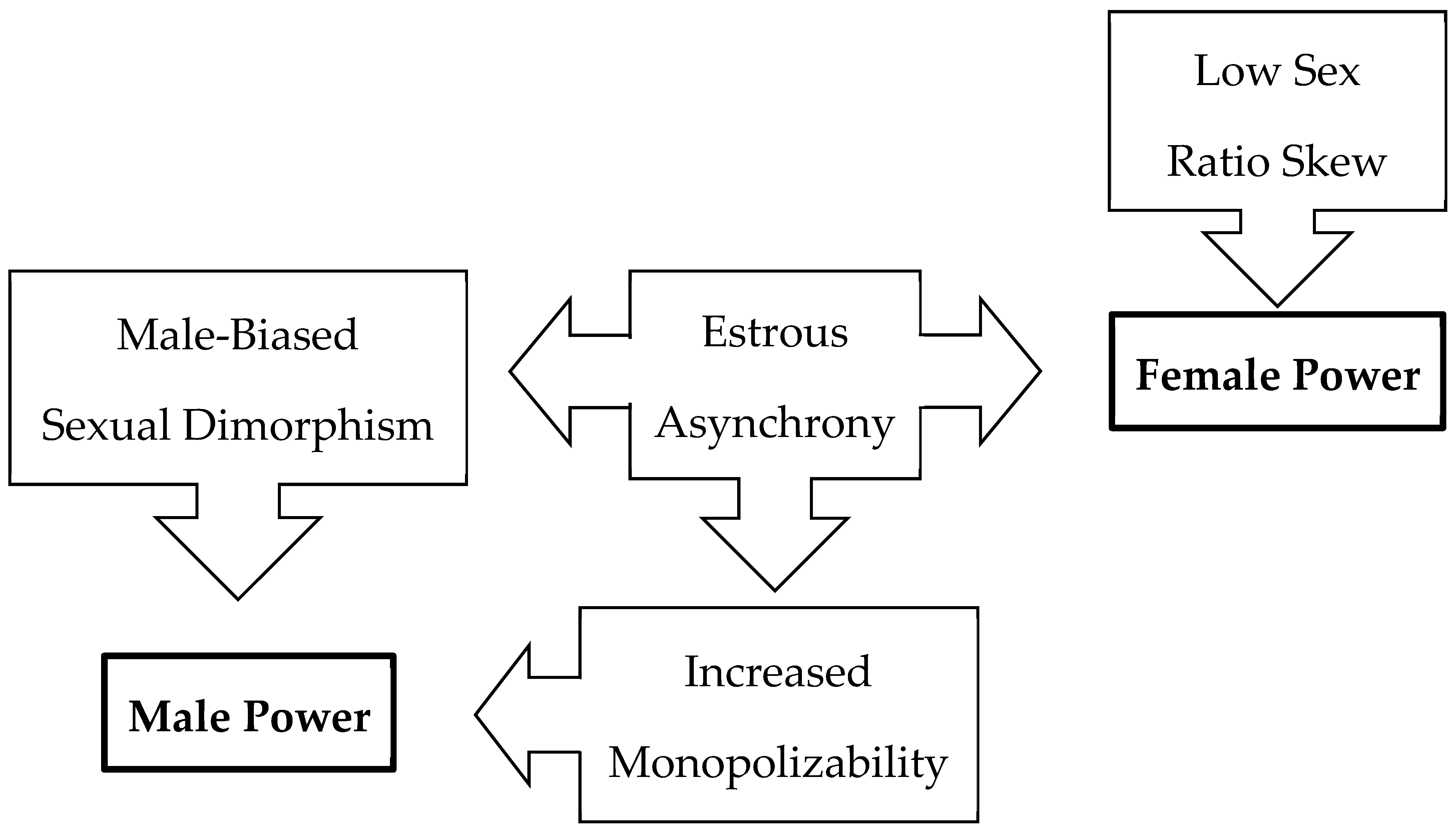 Evolutionary Patterns of Intersexual Power