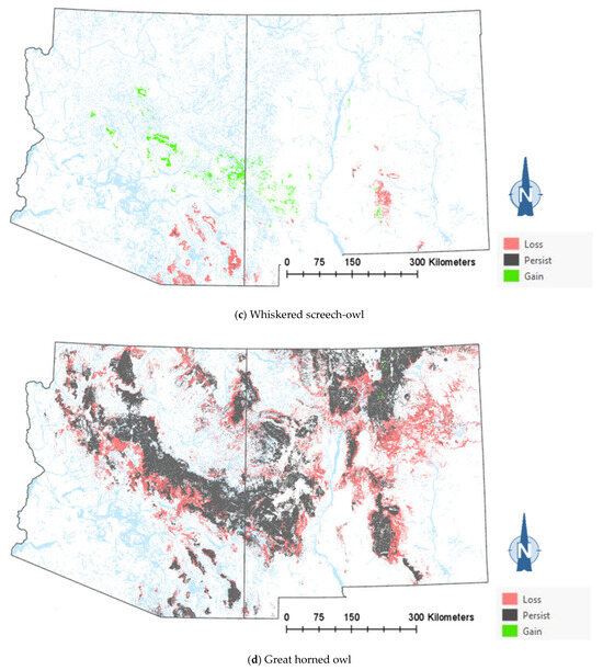 Climate Change Habitat Model Forecasts for Eight Owl Species in the ...