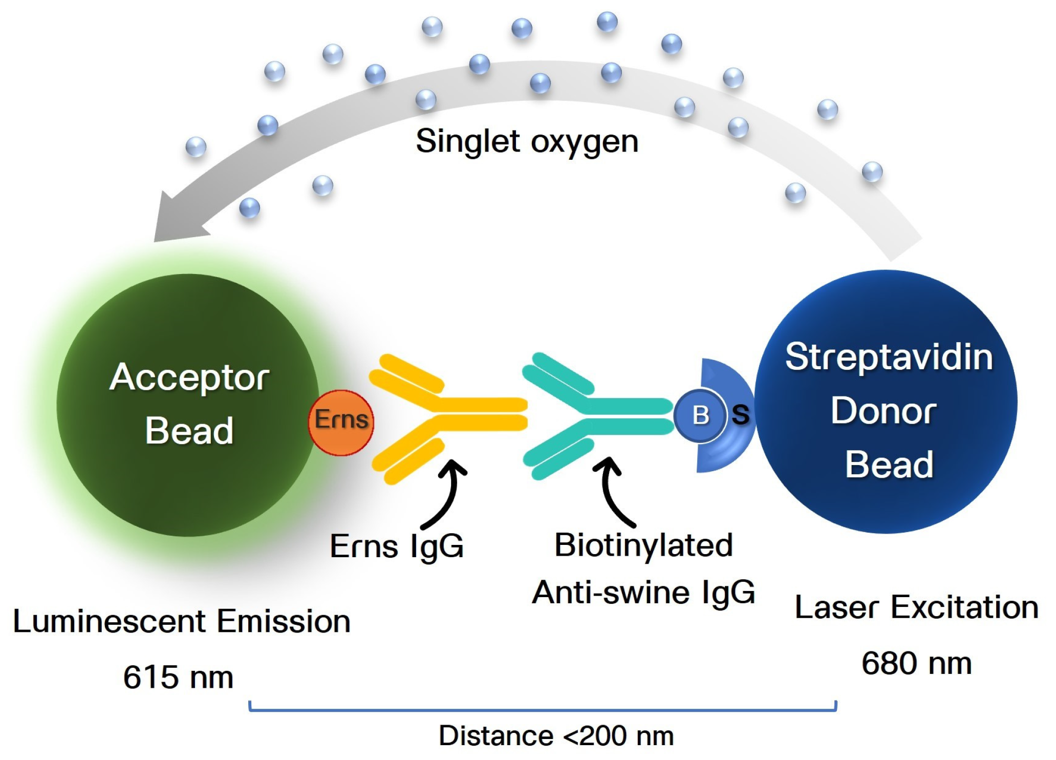 Performance of a Differentiation of Infected from Vaccinated Animals ...