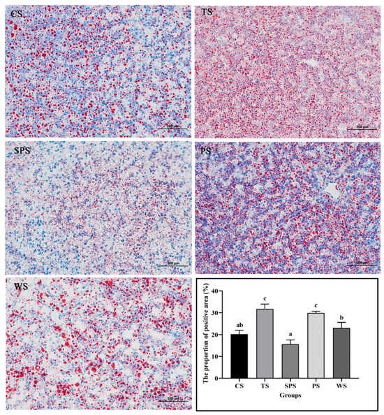 Different Starch Sources Affect the Growth Performance and Hepatic ...