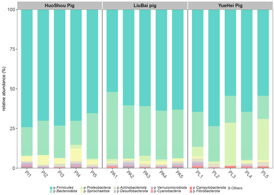 Gut Microbiome Analysis and Screening of Lactic Acid Bacteria with ...