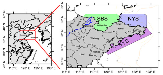 Finless Porpoise Bycatch and Stranding along the Shandong Peninsula ...