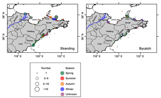 Finless Porpoise Bycatch and Stranding along the Shandong Peninsula ...