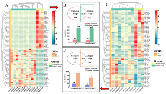 Identification of Potential miRNA–mRNA Regulatory Network Associated ...