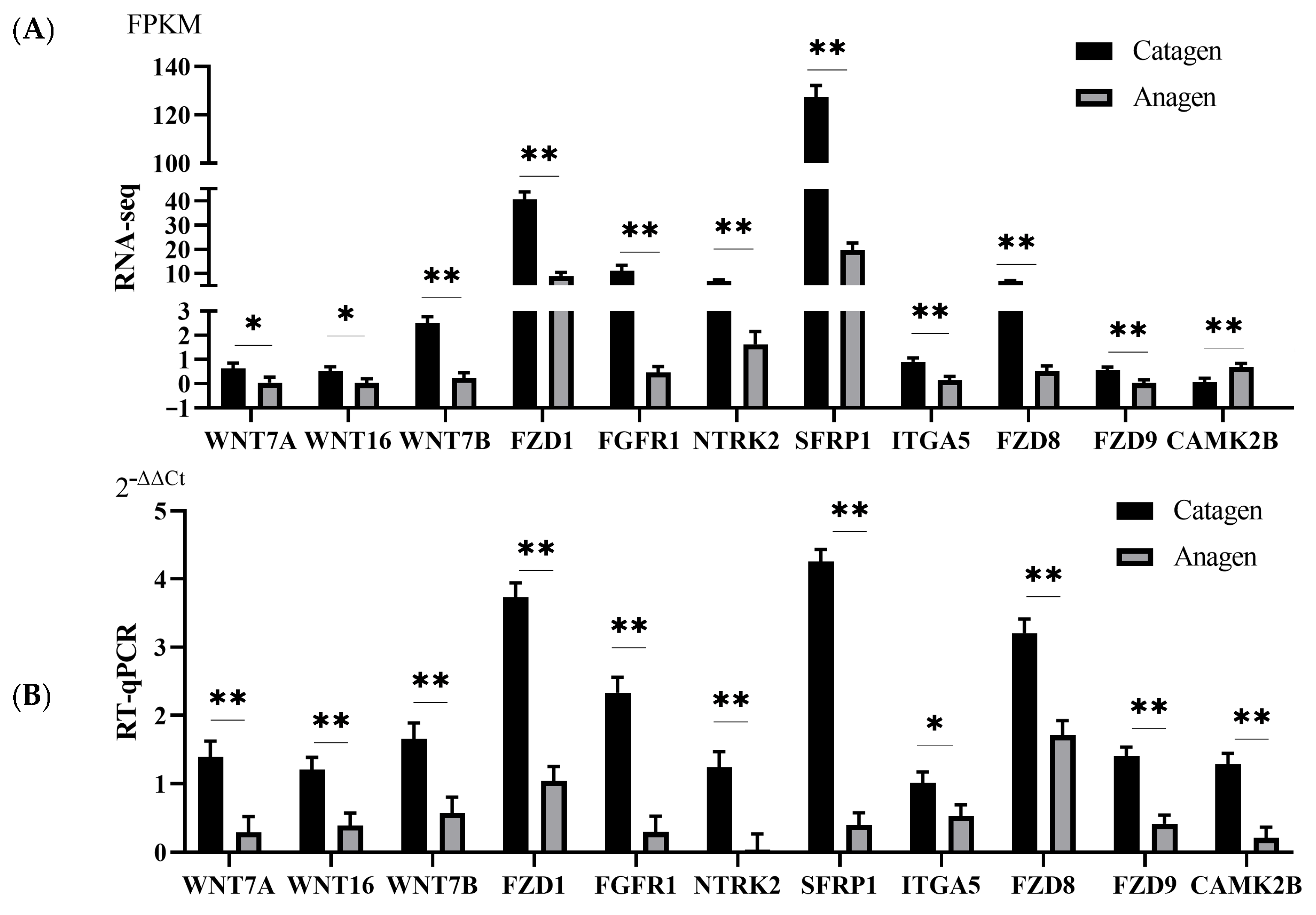 Identification of Potential miRNA–mRNA Regulatory Network Associated ...