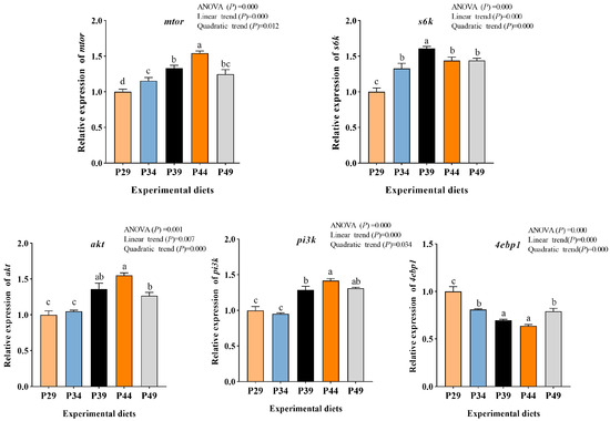 Effects of Dietary Protein Levels on Growth, Digestive Enzyme Activity ...