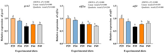 Effects of Dietary Protein Levels on Growth, Digestive Enzyme Activity ...