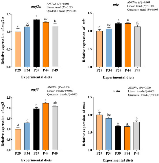 Effects of Dietary Protein Levels on Growth, Digestive Enzyme Activity ...
