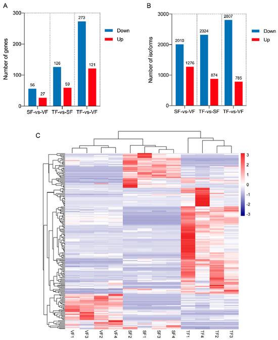 Full-Length Transcriptome and Gene Expression Analysis of Different ...
