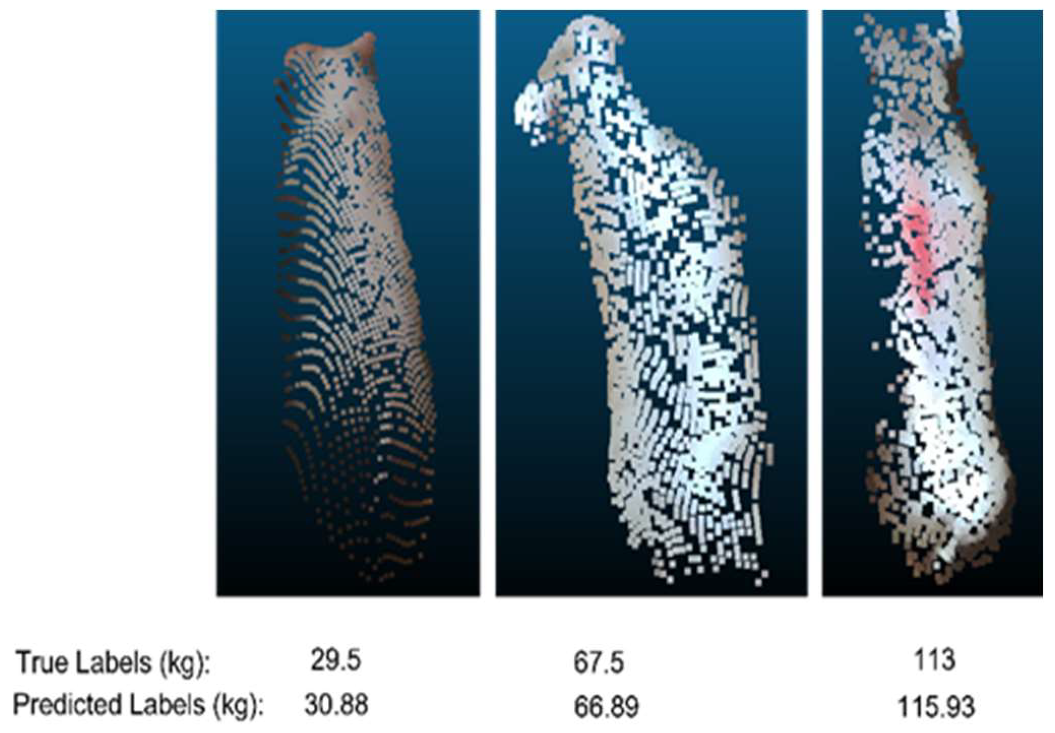 Deep Learning Models to Predict Finishing Pig Weight Using Point Clouds