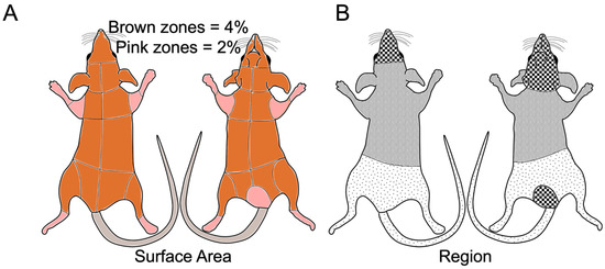 Animals | Free Full-Text | Bite Wounds and Dominance Structures in Male ...