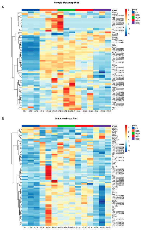 Animals | Free Full-Text | Transcriptome Analysis Revealed the Early ...