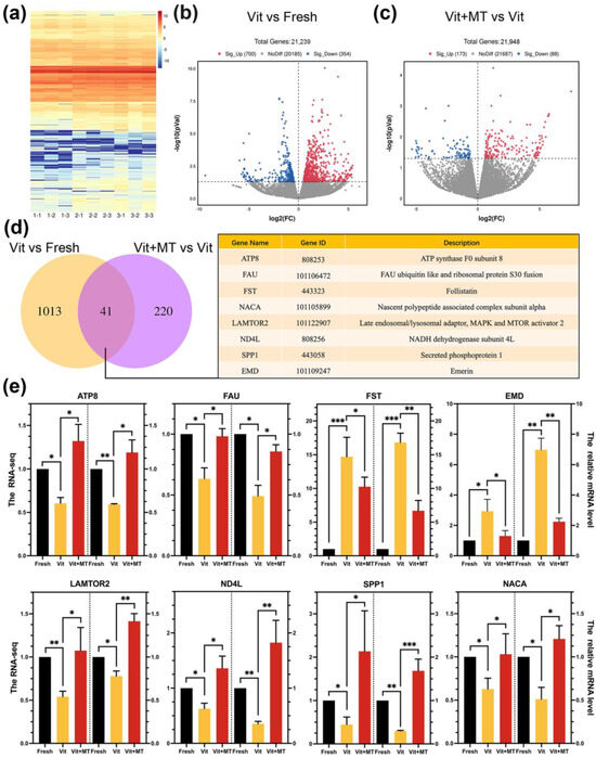 Mito-TEMPO Improves the Meiosis Resumption and Mitochondrial Function ...