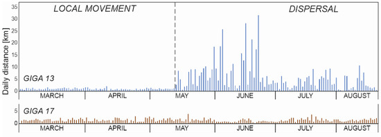 Over 300 km Dispersion of Wild Boar during Hot Summer, from Central ...