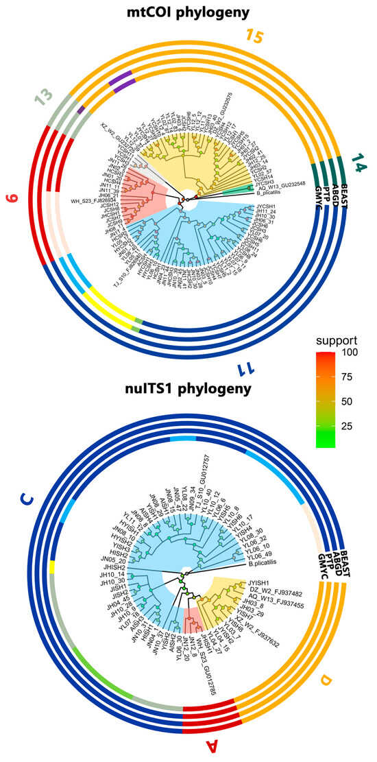 Temporal Distribution Patterns of Cryptic Brachionus calyciflorus ...