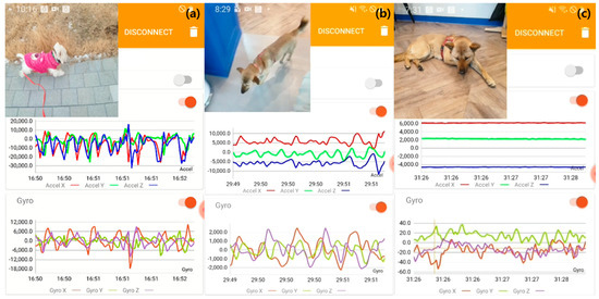 Development of a Dog Health Score Using an Artificial Intelligence ...