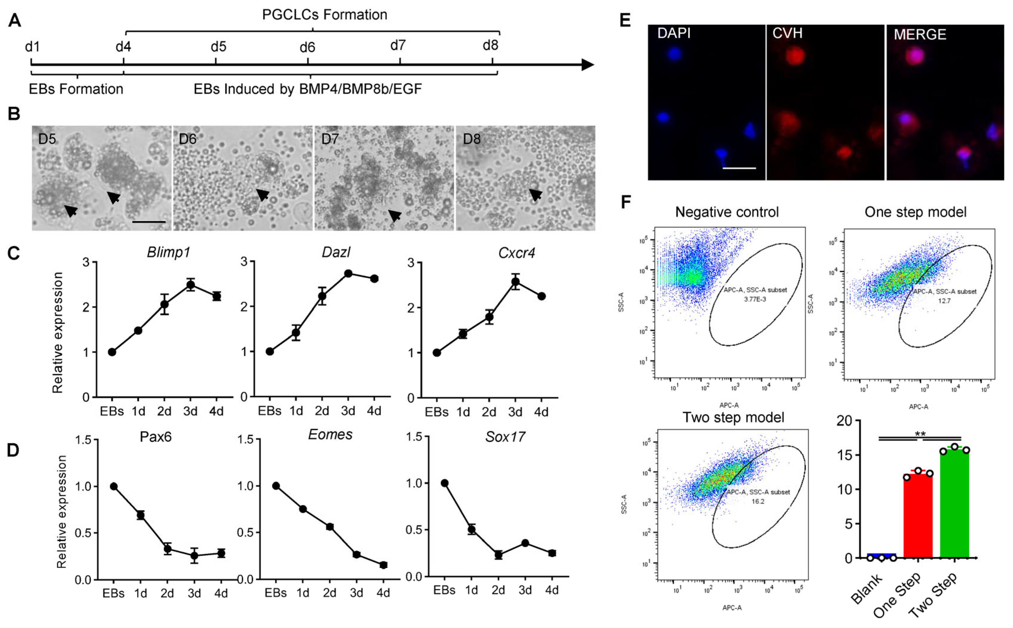 The Establishment and Optimization of a Chicken Primordial Germ Cell ...