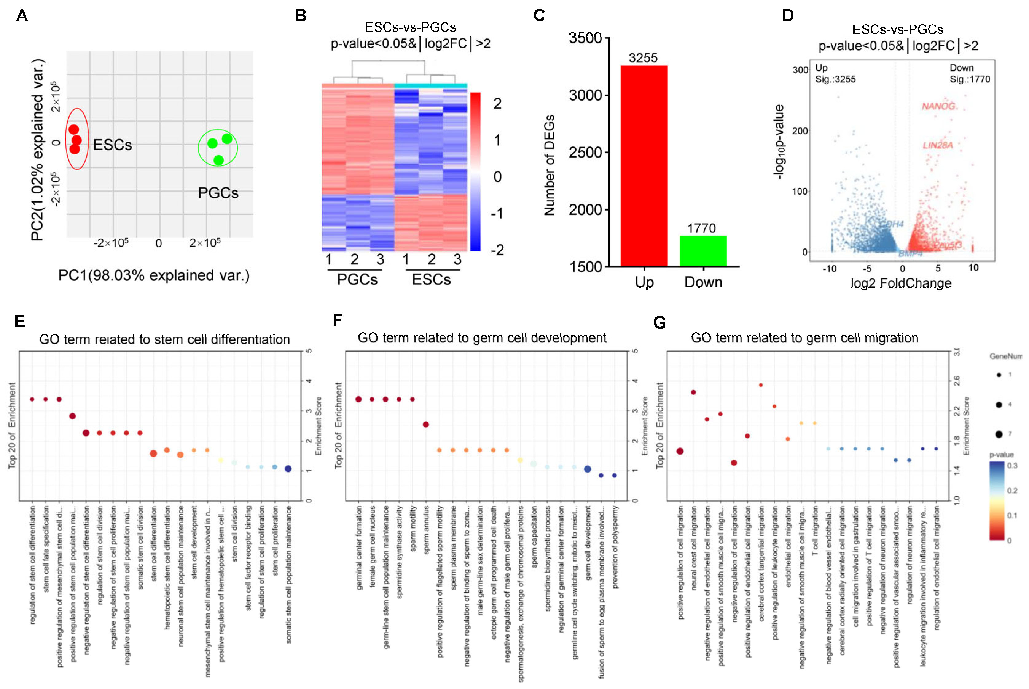 The Establishment and Optimization of a Chicken Primordial Germ Cell ...