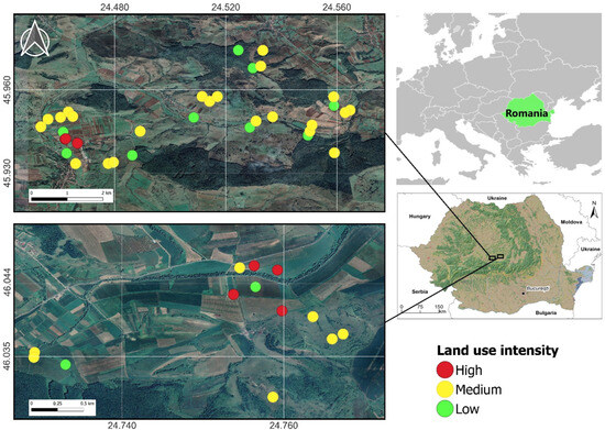 Effects of Season, Habitat, and Host Characteristics on Ectoparasites ...