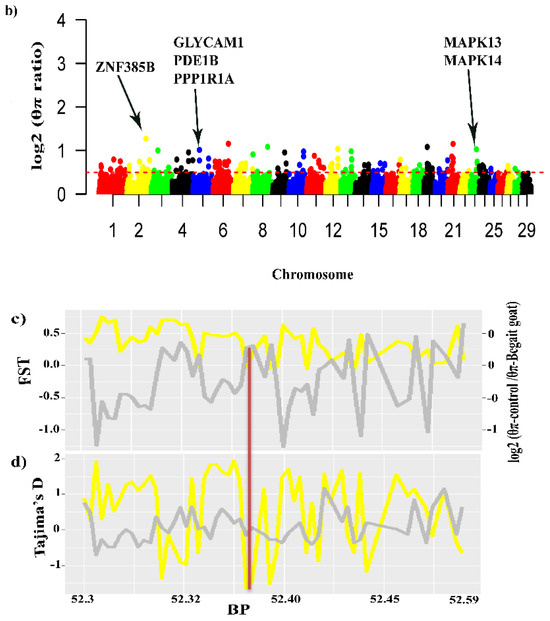 Genetic Diversity, Population Structure and Selection Signature in Begait Goats Revealed by ...