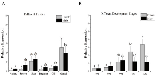 Identification and Functional Analysis of Cynoglossus semilaevis Z ...