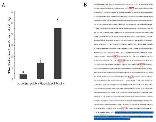 Identification and Functional Analysis of Cynoglossus semilaevis Z ...