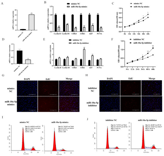 miR-10a-5p Regulates the Proliferation and Differentiation of Porcine ...