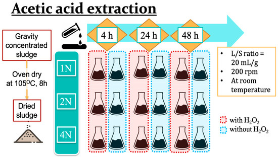 Recovery of Copper and Zinc from Livestock Bio-Sludge with An ...