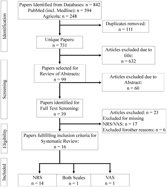 Pain Assessment in Cattle by Use of Numerical Rating and Visual ...