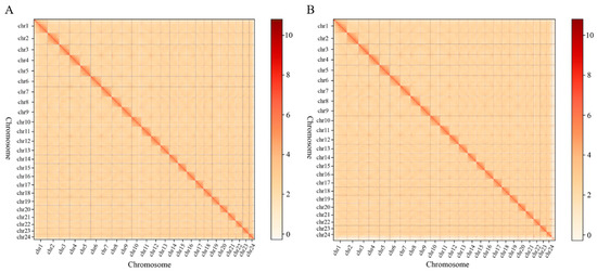 Whole-Genome Sequencing Analyses Reveal the Whip-like Tail Formation ...