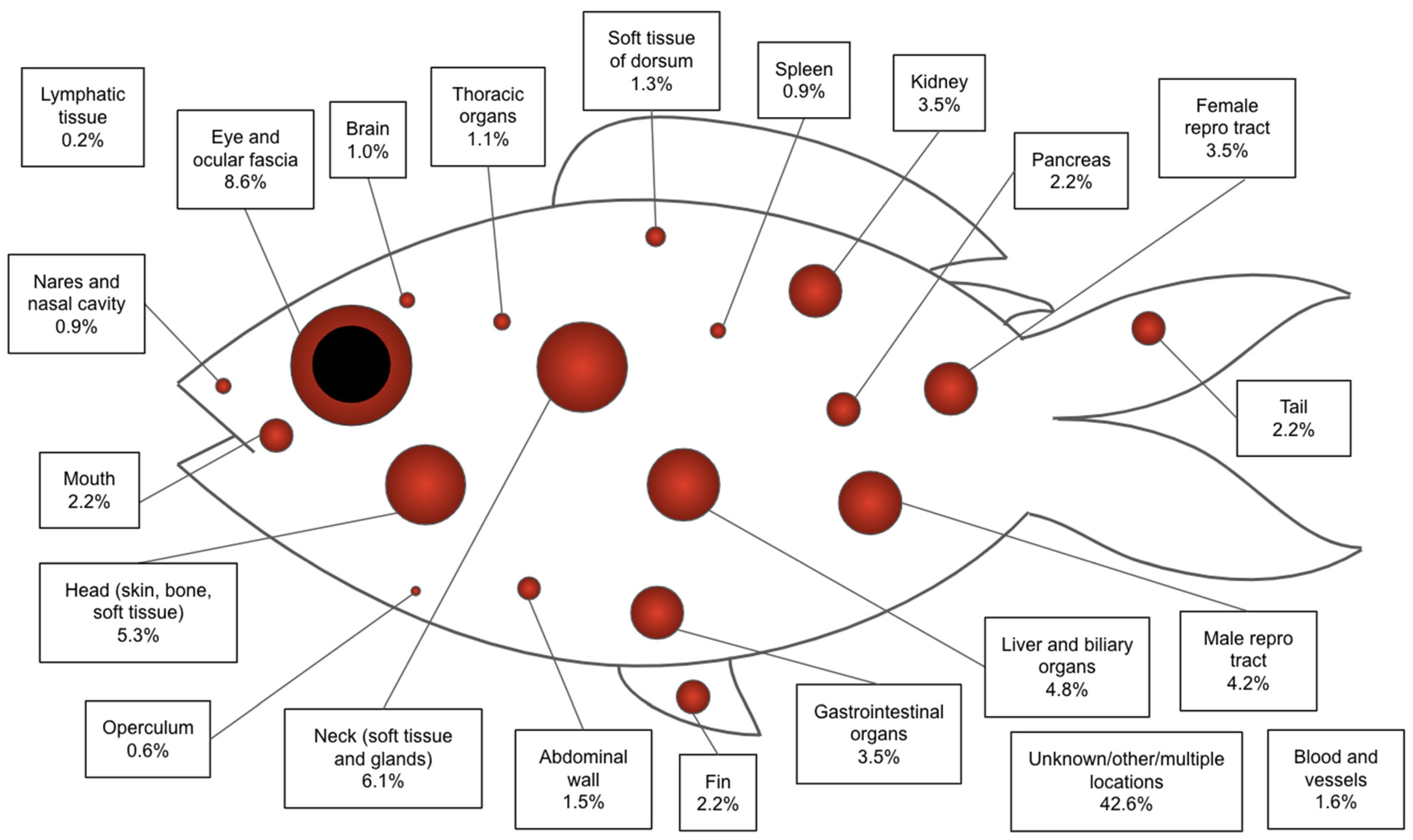 Retrospective Study of the Prevalence, Histopathology, Therapy, and ...