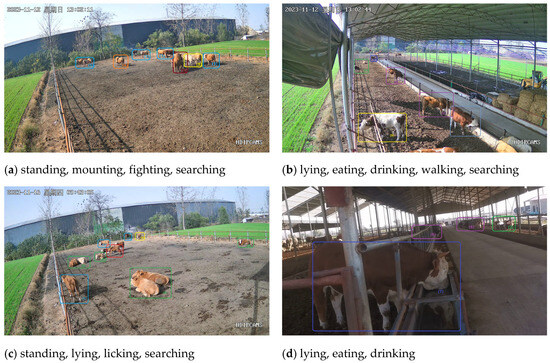 Dynamic Serpentine Convolution with Attention Mechanism Enhancement for Beef Cattle Behavior ...