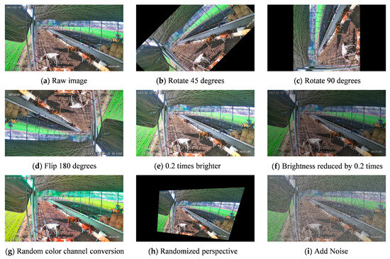 Dynamic Serpentine Convolution with Attention Mechanism Enhancement for Beef Cattle Behavior ...