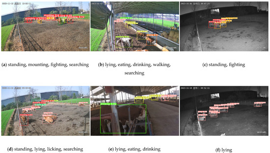 Dynamic Serpentine Convolution with Attention Mechanism Enhancement for Beef Cattle Behavior ...