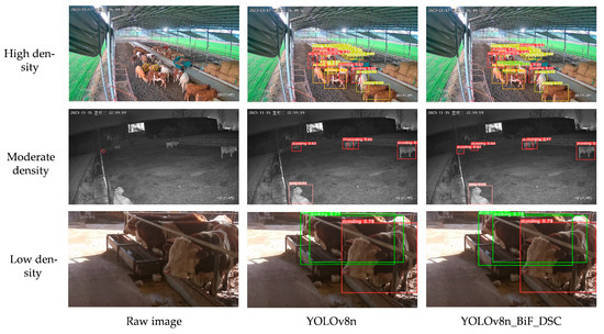 Dynamic Serpentine Convolution with Attention Mechanism Enhancement for Beef Cattle Behavior ...