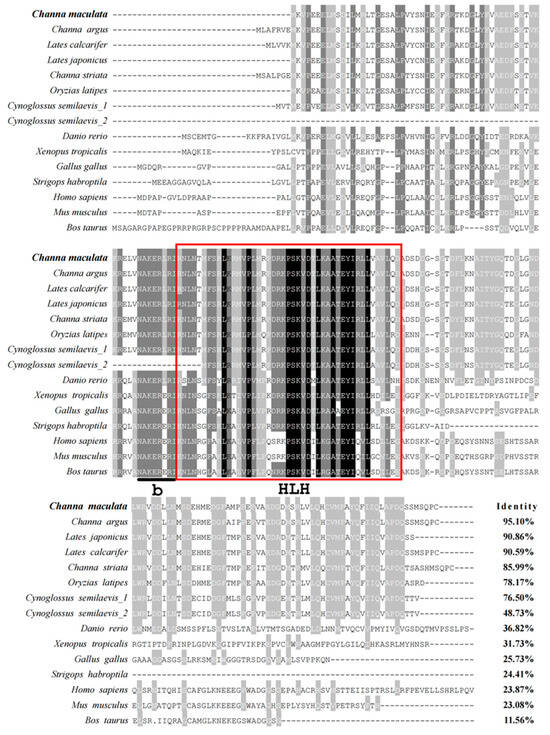 Molecular Characterization, Expression Pattern, DNA Methylation and ...