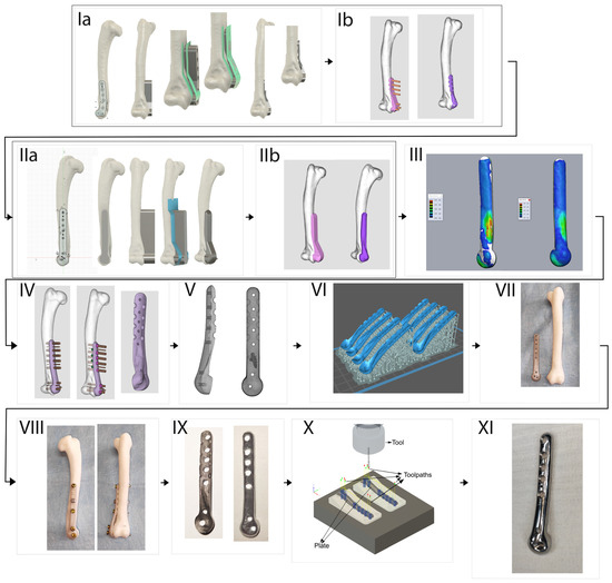 Animals | Free Full-Text | A 3D Printed Anatomically Pre-Contoured ...