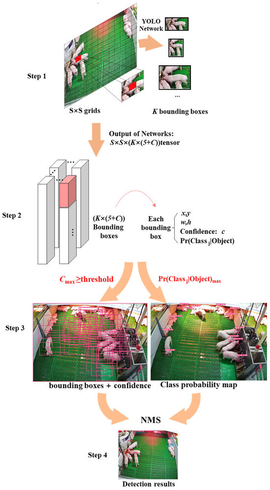 Automatic Recognition and Quantification Feeding Behaviors of Nursery Pigs Using Improved YOLOV5 ...