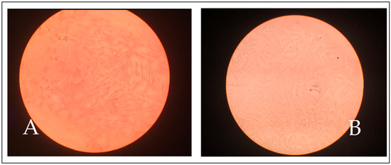 Ocular Surface Characteristics in Pugs with Pigmentary Keratitis in the ...