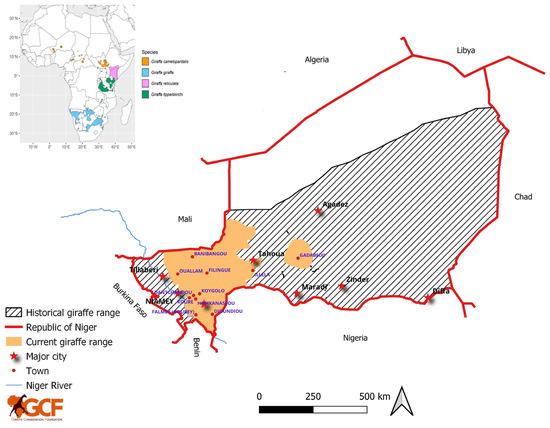 Saving the Last West African Giraffe Population: A Review of Its ...