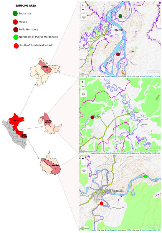 Possible Spreading of SARS-CoV-2 from Humans to Captive Non-Human ...