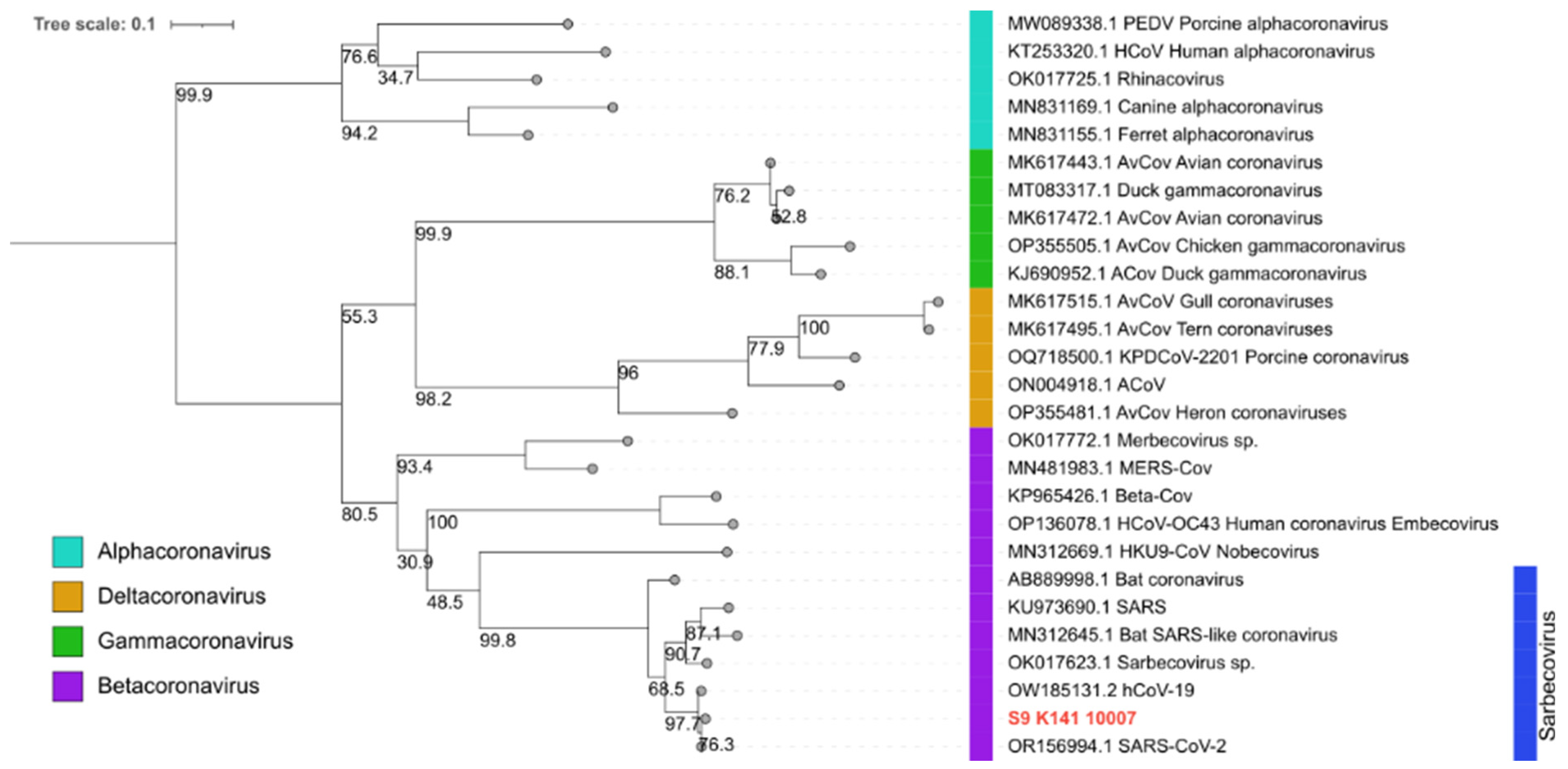 Possible Spreading of SARS-CoV-2 from Humans to Captive Non-Human ...