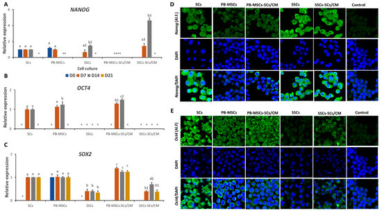 Bovine Peripheral Blood-Derived Mesenchymal Stem Cells (PB-MSCs) and ...