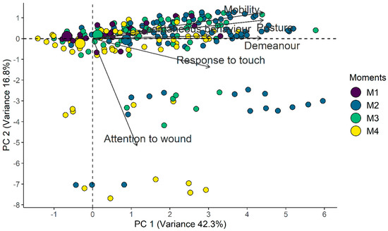 Validation of the Portuguese Version of the Short-Form Glasgow ...