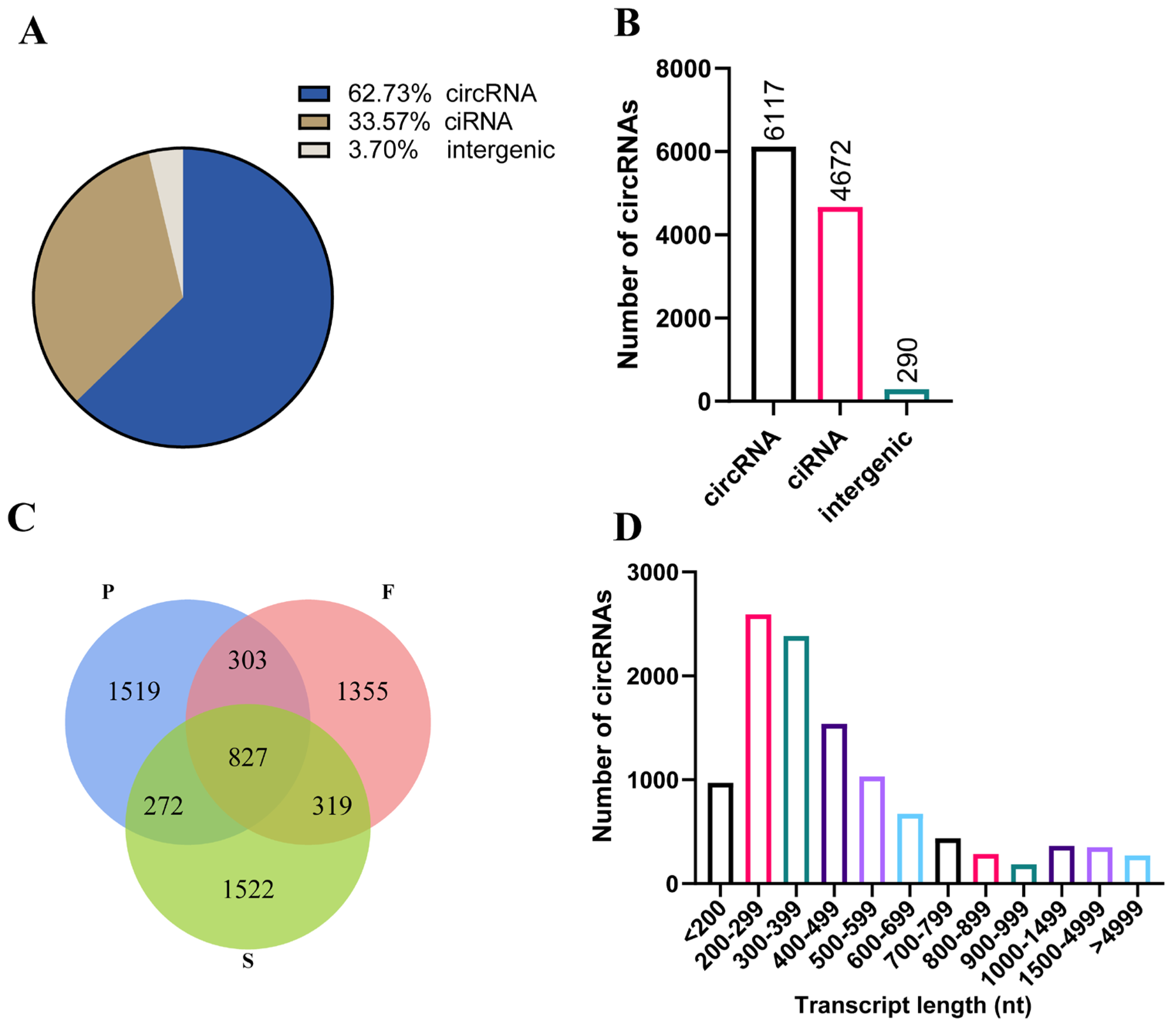 Molecular Mechanisms of circRNA–miRNA–mRNA Interactions in the ...